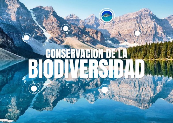 conservacion de la biodiversidad | Genially