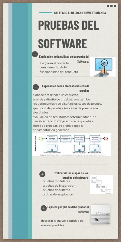 PRUEBAS DEL SOFTWARE