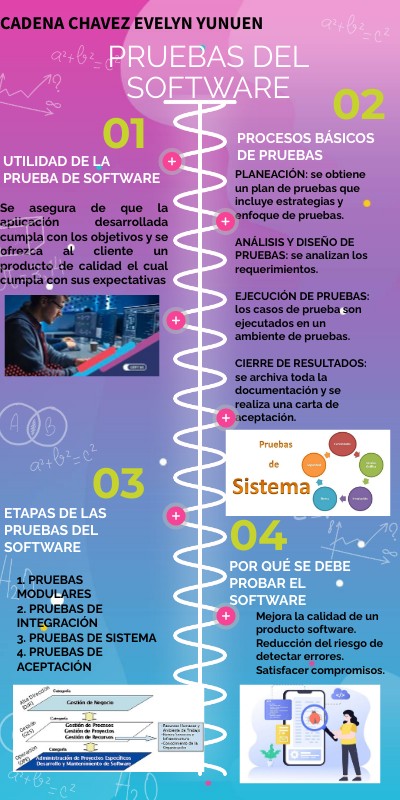 PRUEBAS DEL SOFTWARE