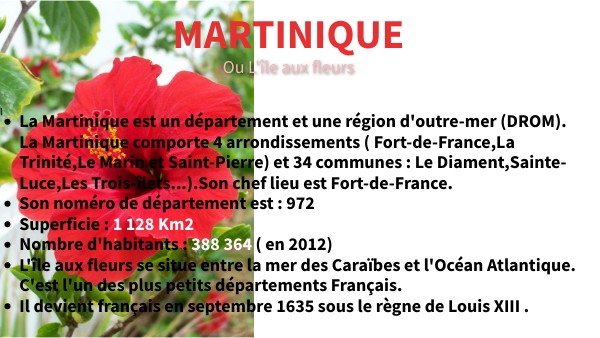 exposé martinique | Genially