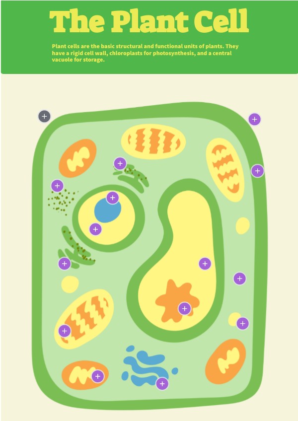 Plant Cell | Genially