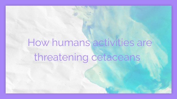 How humans activities are threatening cetaceans