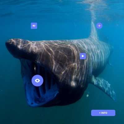 Essential Square Interactive Image