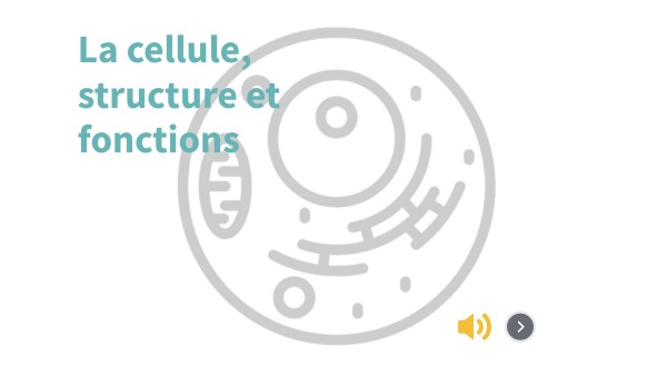 La cellule, structure et fonctions