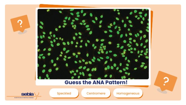 Guess the Pattern - Week 1 - 2024 | Genially