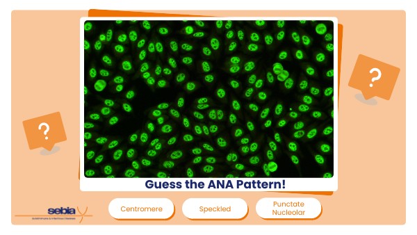 Guess the Pattern - Week 2 - 2024 | Genially