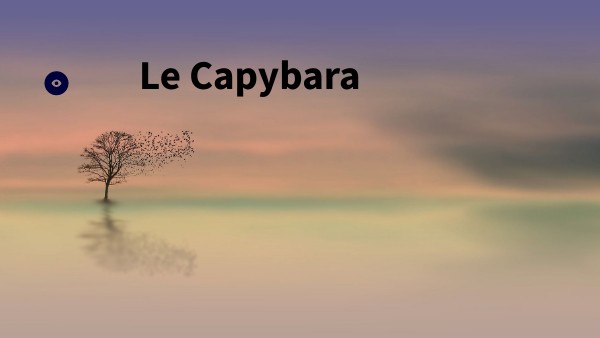 les capybaras