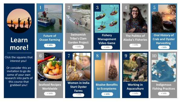 SFW Chp 7 extra resources
