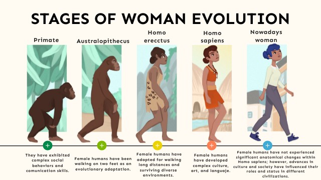 STAGES OF WOMAN EVOLUTION_502
