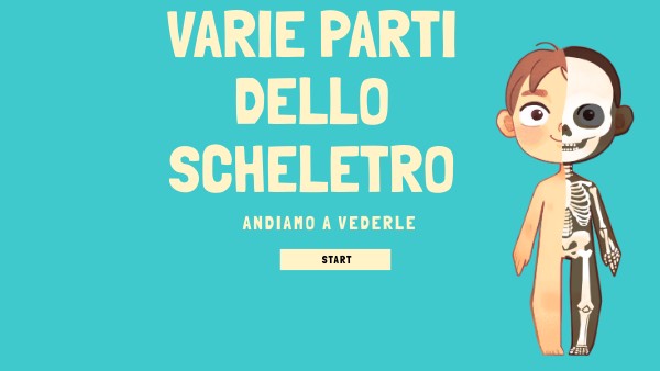 varie parti dello scheletro | Genially
