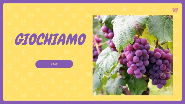 Gioco Animali Double