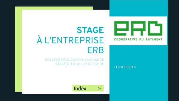 Copie - Tfe fluide | Genially