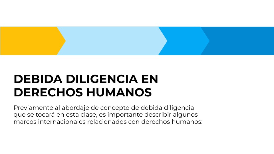 Debida diligencia en Derechos Humanos