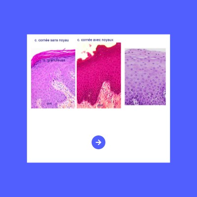 BASIC CLICK-TO-ACTIONS