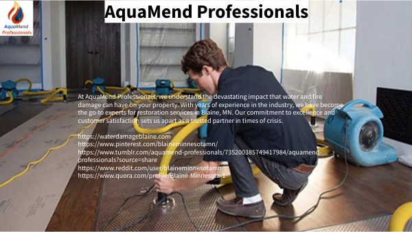 AquaMend Professionals