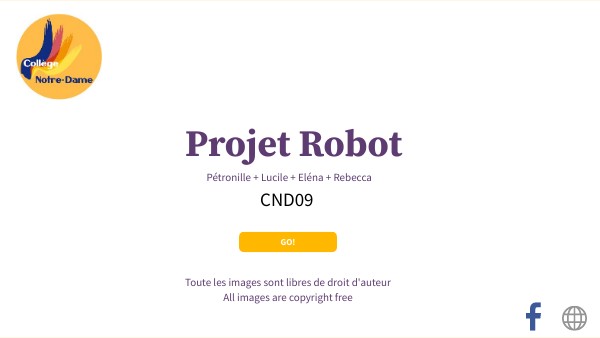 projet robot
