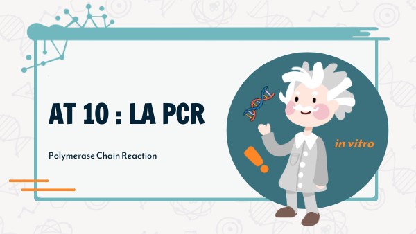 AT 10 : La PCR | Genially