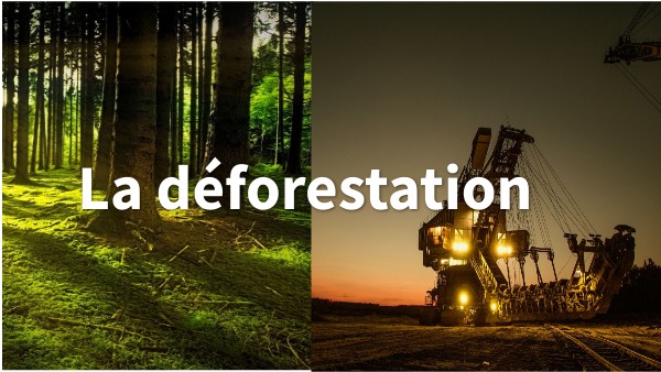 La déforestation | Genially