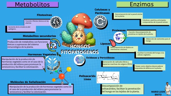 Mapa Mental HONGOS | Genially