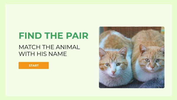 Find the pair - Memory Game