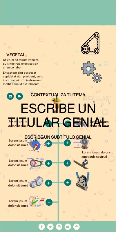 INFO VERTICAL CÉLULAS