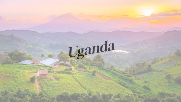 Uganda's project | Genially