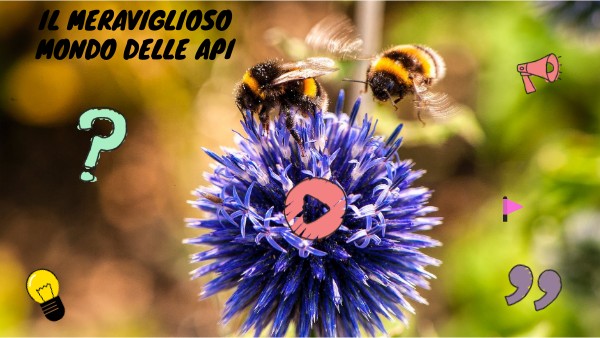 Il mondo delle api | Genially