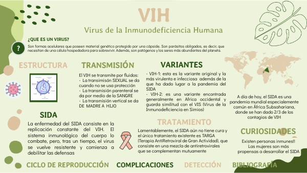 VIH (Virus de la Inmunodeficiencia Humana)