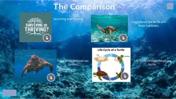 The Comparison | Genially