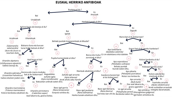 BASIC DIGITAL DASHBOARD | Genially