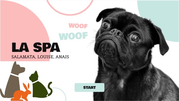 Projet SNT | Genially