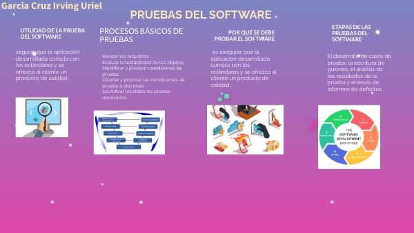 PRUEBAS DEL SOFTWARE