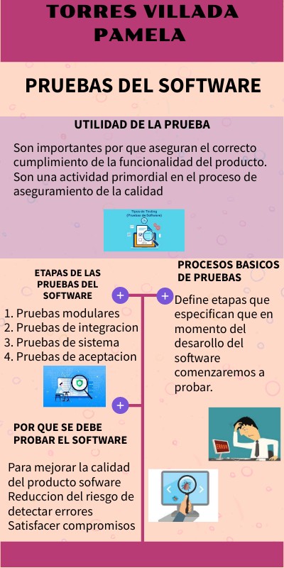PRUEBAS DEL SOFTWARE