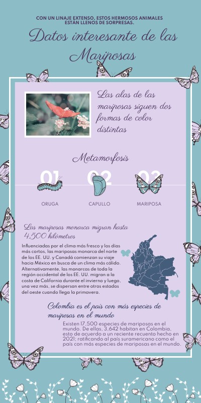INFO VERTICAL MARIPOSAS