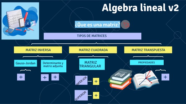 MAPA CONCEPTUAL matriz
