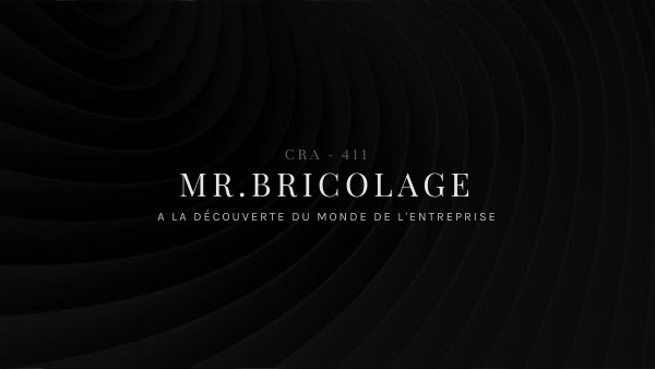 Oral CRA-411 Mr.Bricolage