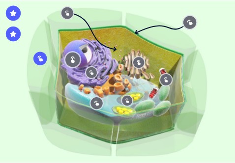 Plant Cell | Genially
