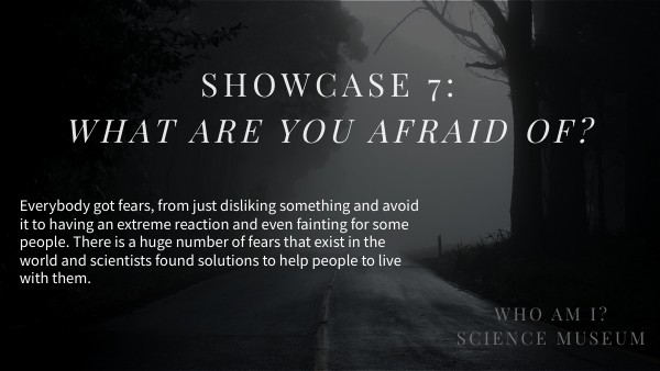 SHADOW PRESENTATION | Genially