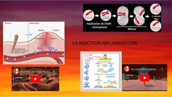 LA REACTION INFLAMMATOIRE | Genially