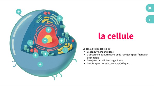 LA CELLULE