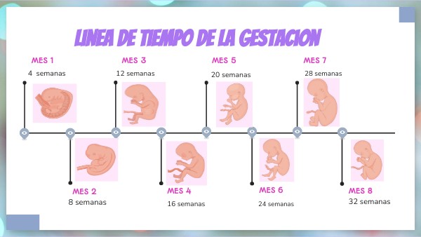 Tiempo de Gestación | Genially