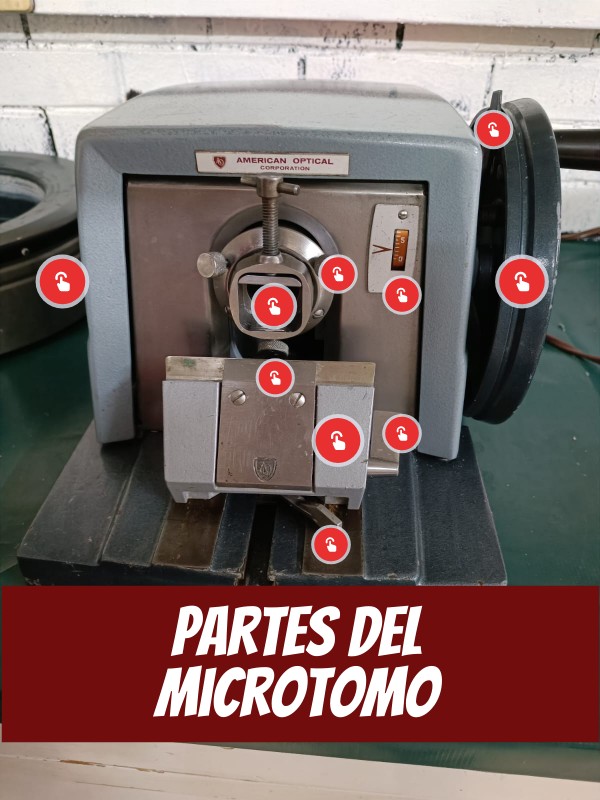 Partes del microtomo | Genially