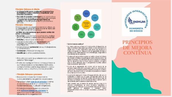 TRÍPTICO MEJORA CONTINUA | Genially