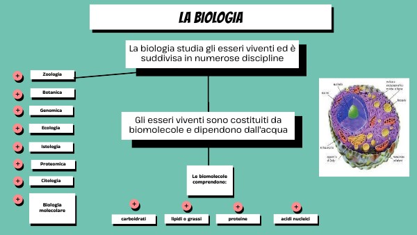 Lavoro scienze
