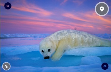 Alba fdez garcia 1ºB | Genially