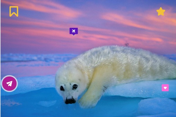 Sofía Alyne García Guapo | Genially