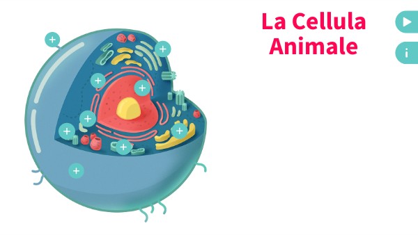 La cellula