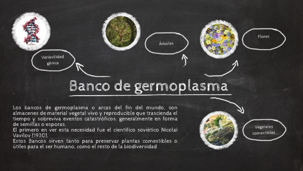 Banco de germoplasma | Genially