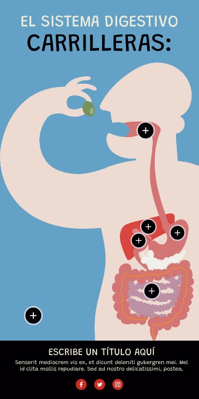 INFO VERTICAL DIGESTIVO | Genially