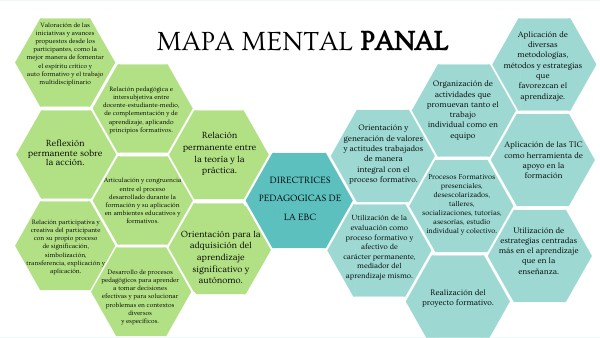 DIRECTRICES PEDAGOGICAS | Genially